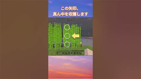 【スマホでマイクラ】サトウキビ畑にあの英雄がサバ活拠点の朝日記35【マイクラサバイバル】 マインクラフト Minecraft