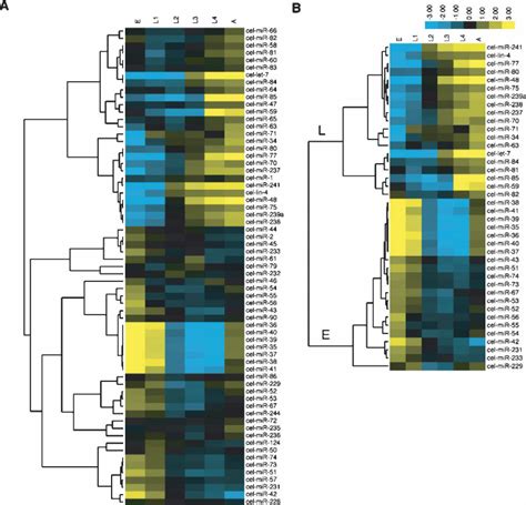 Genome Wide Expression Profiling Reveals That A Large Number Of Mirnas