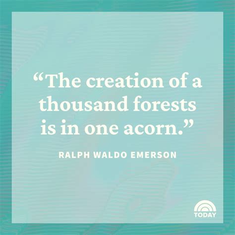 85 Nature Quotes About The Beauty Of The Great Outdoors