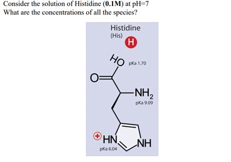 Histidine At Ph 7