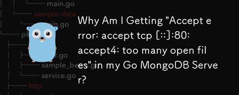 為什麼我的 Go Mongodb 伺服器中出現「接受錯誤：接受 Tcp 80accept4開啟檔案太多」？ Golang Php中文網