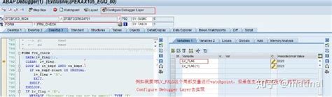 Abap Debug 技巧 包括各种场景的debug方法（非常实用） 知乎