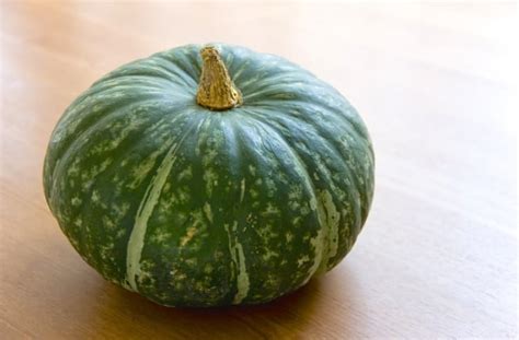 冬至にいい「んのつく食べ物」って例えば何？その由来も紹介！ なるのーと