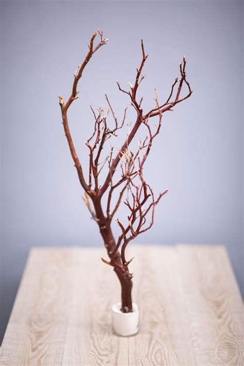 Mahogany Manzanita Branch Manzanita Decor Cranberry Bud Vase Antique
