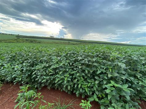 Fazenda à venda Mercado de Terras