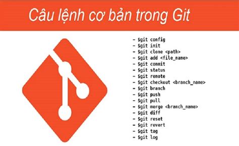 Git là gì Tìm hiểu về phần mềm Git chi tiết từ A Z Tin tức tên
