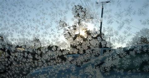 Sunshine Through Ice Fractals Through The Trees Imgur