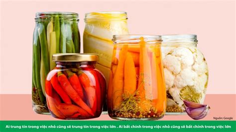 So SÁnh Lactobacillus And Vi KhuẨn BÀo TỬ Bacillus