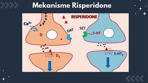 Mekanisme Kerja Obat Risperidone Golongan Antipsikotik Youtube