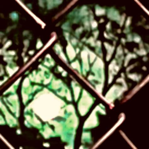 Stream Tyrone Randall Listen To Passenger With The Passenger What Playlist Online For