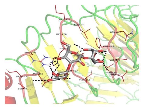 Illustration Of The Interaction Of Pgn Lta And Zymosan With The