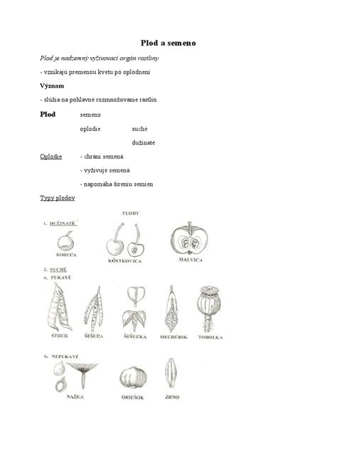 Plod A Semeno PoznÃ¡mky Pdf