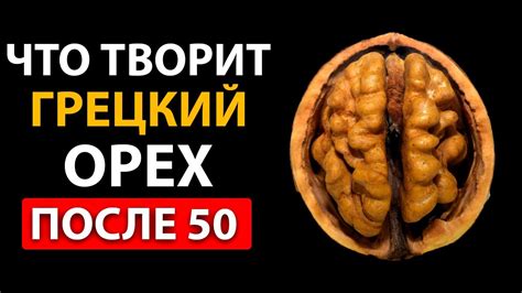 ГЛАВНАЯ ПРИЧИНА почему нужно есть ГРЕЦКИЙ ОРЕХ после 50... - YouTube