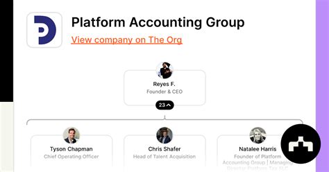 Platform Accounting Group The Org
