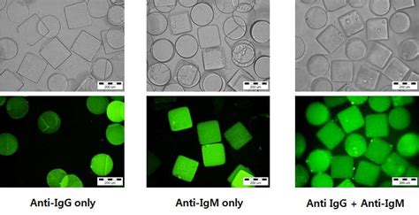multiplexed immunoassays using shape coded hydrogel microparticles