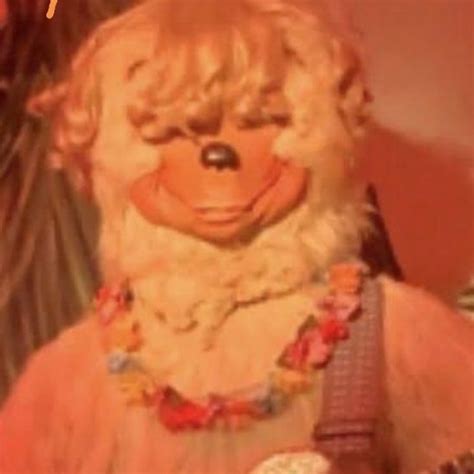 The Beach Bear Youtube