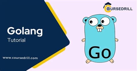 golang tutorial master the basics with ease coursedrill