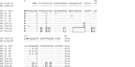 Multiple Alignments Of A Protein Sequence Obtained In Silico