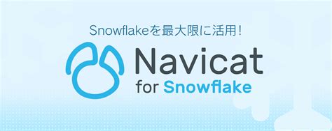 Navicat データベース管理ツール 法人様向け販売サイト 法人様に便利な各種書類発行・様々な支払い方法に対応。全世界300万ユーザに利用されているデータベース管理ツール