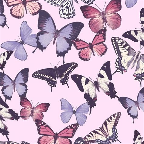 [100 ] Pink Butterfly Backgrounds