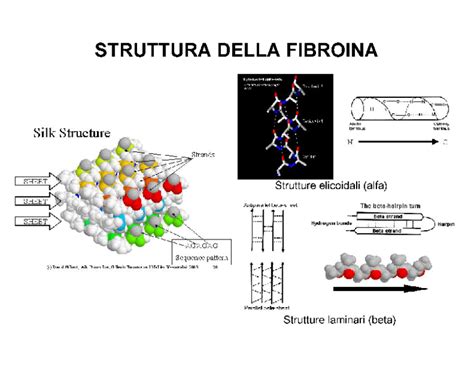 Silk Fibroin And Sericin Cosetex