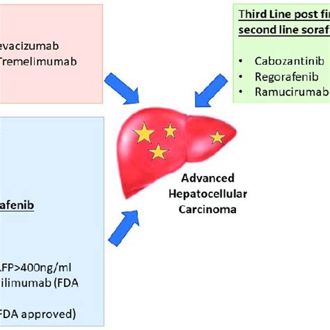 Approved Therapies For Advanced Hepatocellular Carcinoma Download