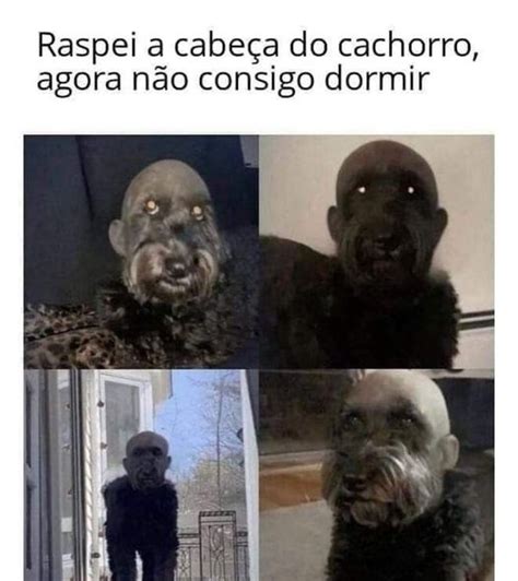 EvilHazard on Twitter Gente que dó ficou parecendo o Bitores