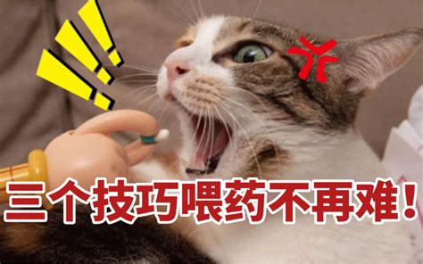 Bilibili