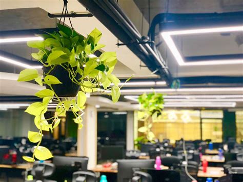 Viitorcloud Technologies Office Photos Glassdoor
