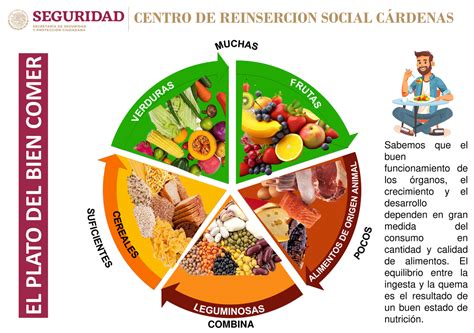 Plato Del Bien Comer Derecho Procesal Del Trabajo Frutas El Plato