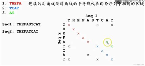 【生信mooc】生物序列比对工具序列比对在线 Csdn博客