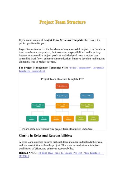 Effective Project Team Structure Template Excel DOCX Business Administration Business