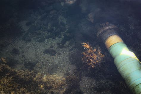 Project Update Promptable Sonar Image Segmentation For Distance