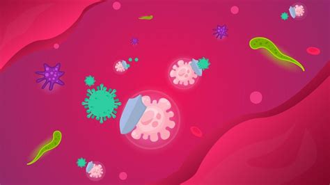 Premium Vector Microba Protection From Bacteri