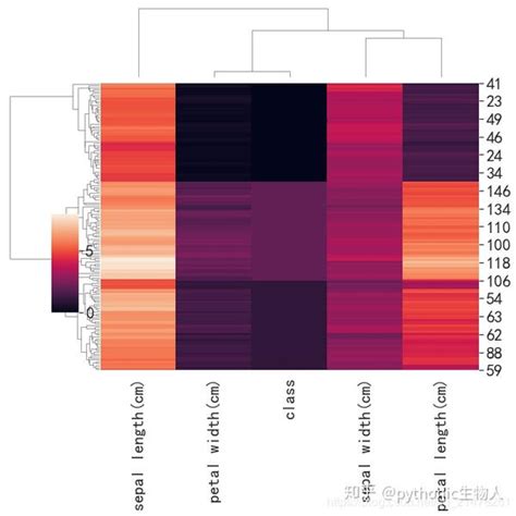 Python Dendrogrampython可视化matplotlibandseborn15 聚类热图clustermap（建议收藏） Csdn博客