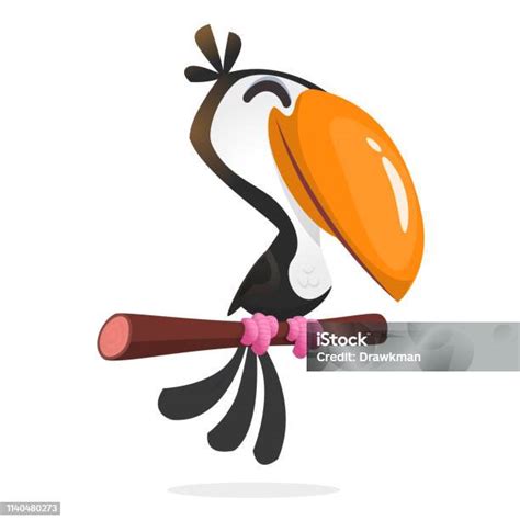 재미 있는 큰부리새 만화 나뭇가지에 앉아있는 벡터 큰부리새 귀여운에 대한 스톡 벡터 아트 및 기타 이미지 귀여운 그래픽