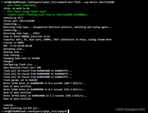 Zephyr Esp32 Dockeresp32 Docker Csdn博客