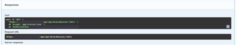 Using The Swagger UI Adds An Additional Api To The Request And