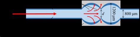 Schematic Diagram Of A Large Core Diameter Fiber Optic Ultrasonic
