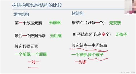 数据结构与算法：树和森林的基础概念解析 Csdn博客
