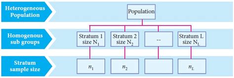 Stratified Random Sampling Merits Limitations Solved Example Problems Applications