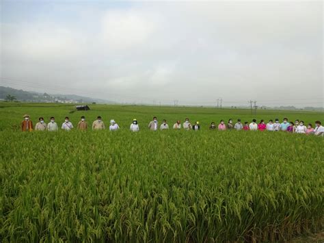 မူဆယ်မြို့၊ မြို့နယ်စိုက်ပျိုးရေးဦးစီးဌာနမှ မျိုးစေ့ထုတ်တောင်သူ ၂၁