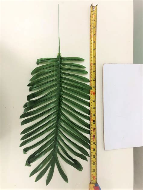 Plant Palm Leaf Artificial Aplant217 Alton Flowers N Ts