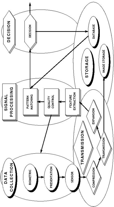 The General Biometric System As Developed By Wayman Download Scientific Diagram