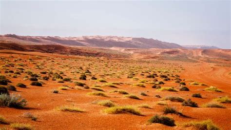 How To Plan A Trip To Oman Rough Guides