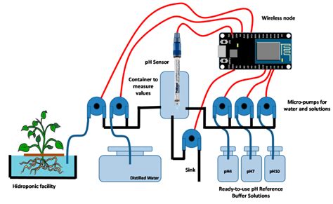 essential guide to ph and ec management in hydroponics