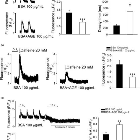 Effects Of Ages On Calcium Transients Calcium Induced Calcium