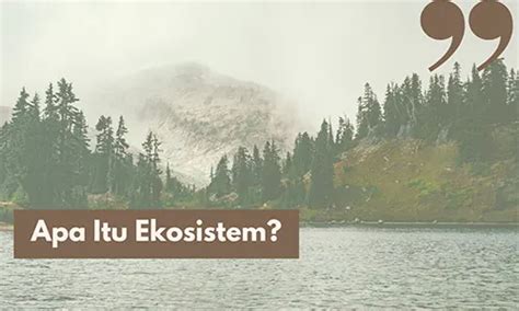 Ekosistem Adalah Pengertian Ciri Fungsi Jenis Komponen Dan