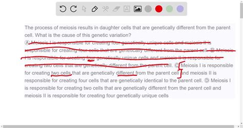 Produce Gametes In Eukaryotic Organisms At James Velarde Blog