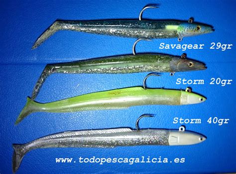 Pesca De La Lubina En Playa Pesca Información
